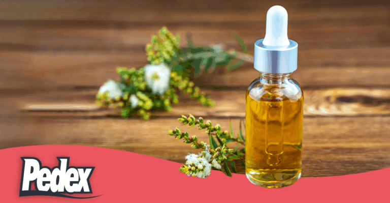 Főoldal - Pedex tetűirtó termékek